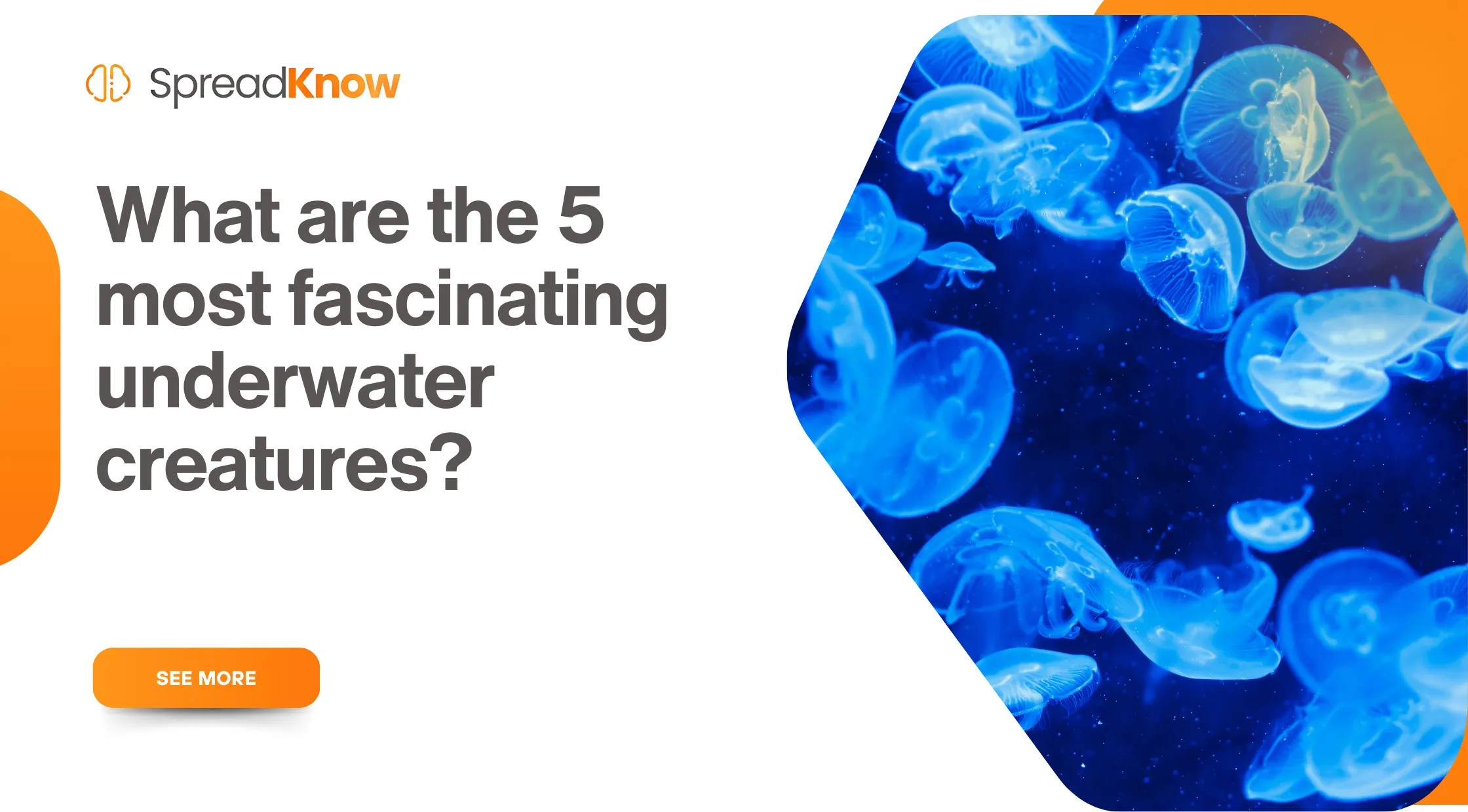 What are the 5 most fascinating underwater creatures? - SpreadKnow