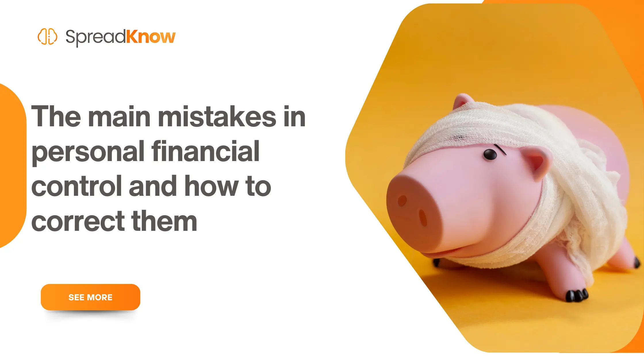 The main mistakes in personal financial control and how to correct them